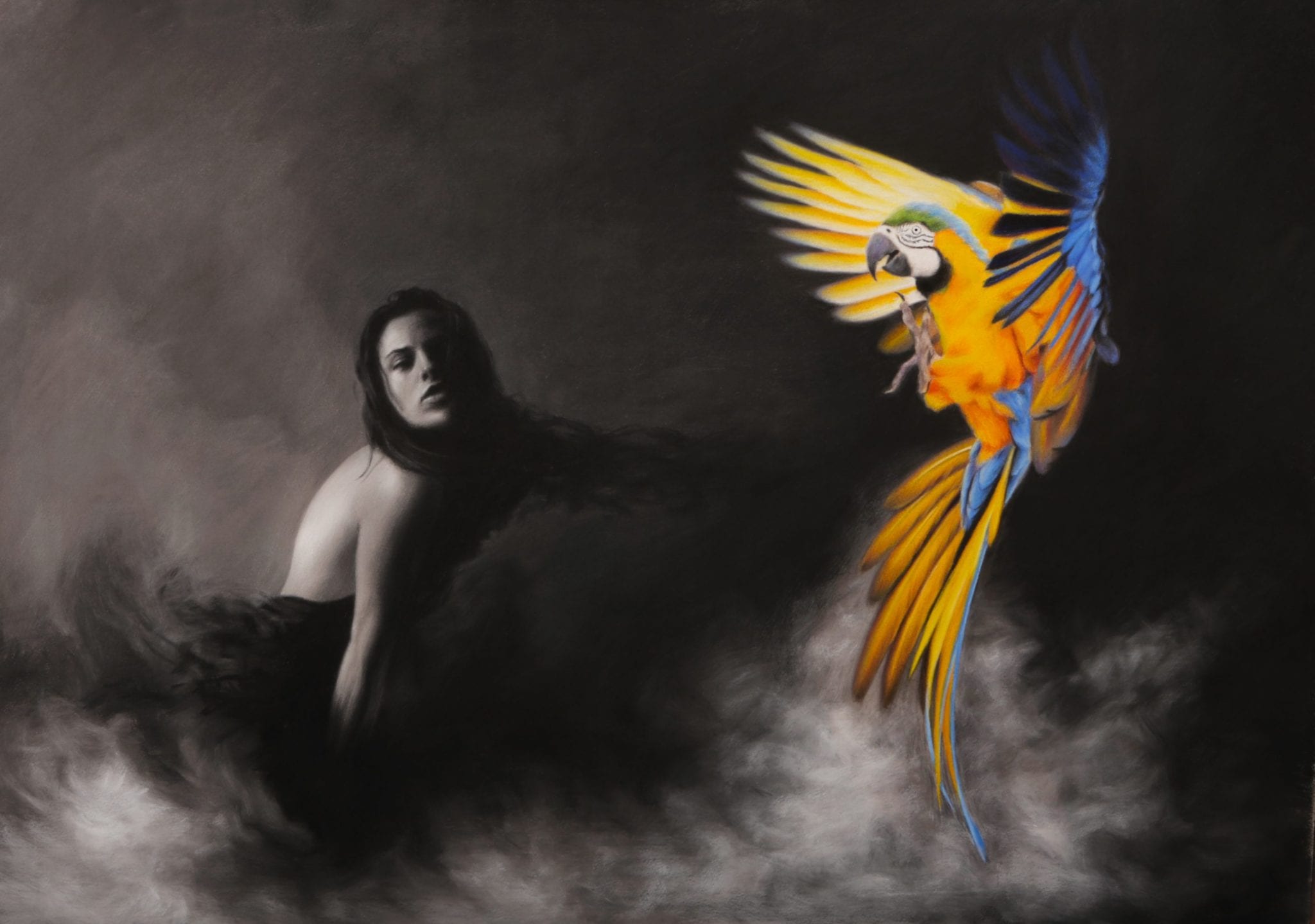 Meet Maximillion Baccanello – UK Pastel Society Winner, by Unison ...