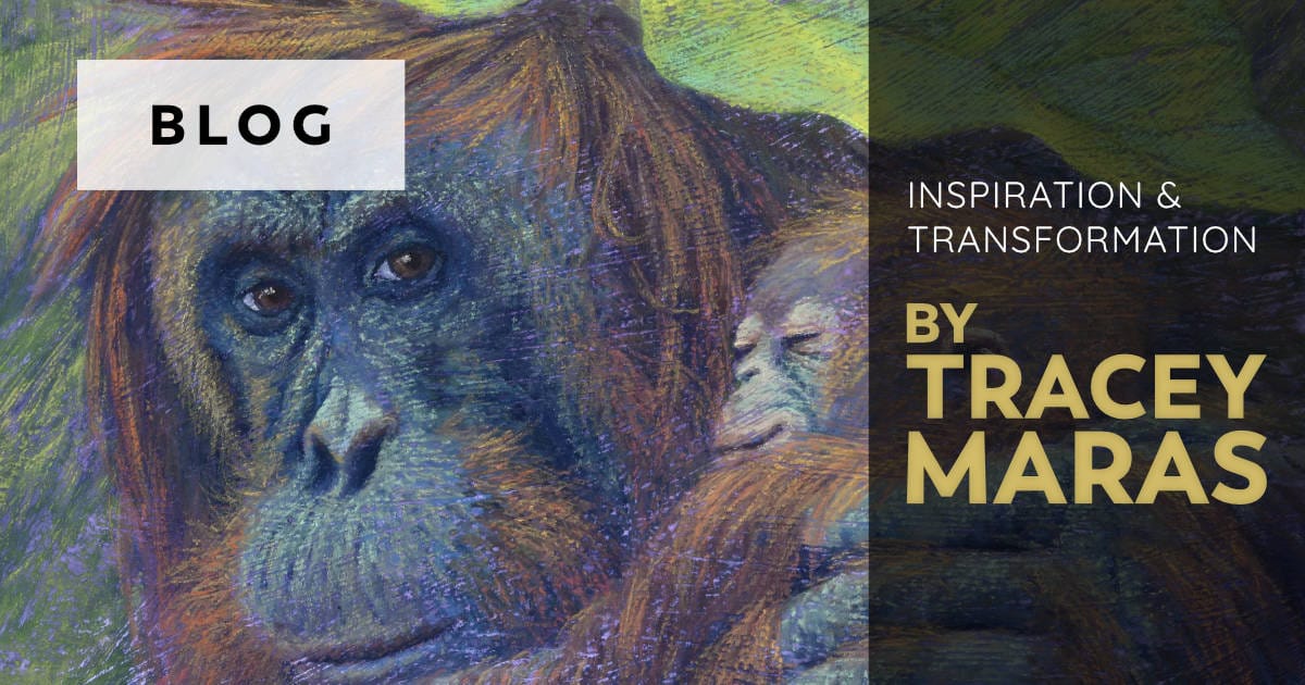 Inspiration & Transformation, by Tracey Maras - Unison Colour
