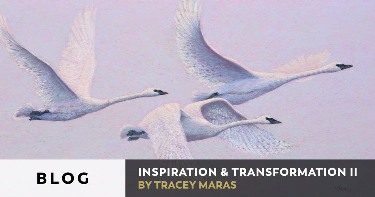 Inspiration & Transformation II, by Tracey Maras - Unison Colour