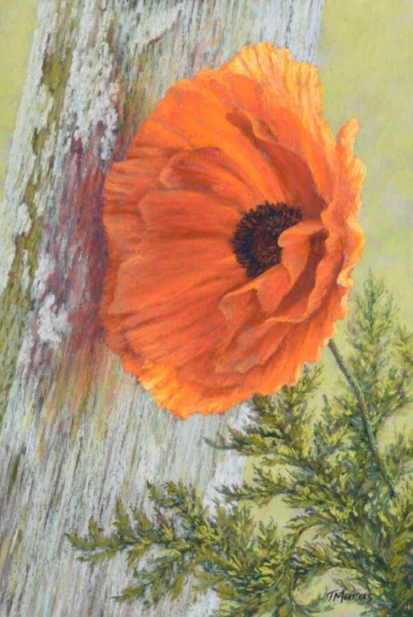 Discovering Reflected Color, by Tracey Maras - Unison Colour