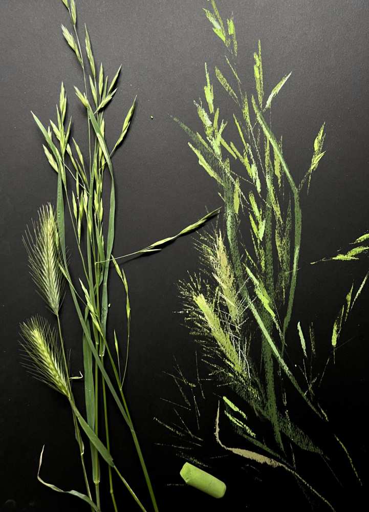 Soft Pastel Techniques in Floral Painting – Unison Colour